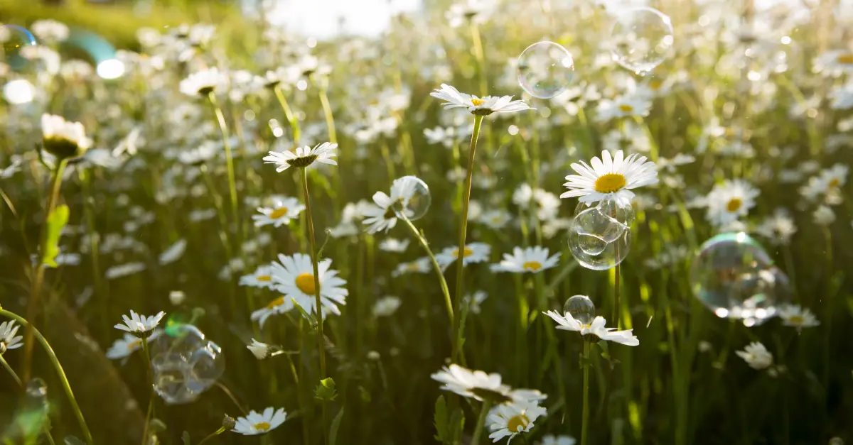 Barrierefreiheit gasag.de | GASAG